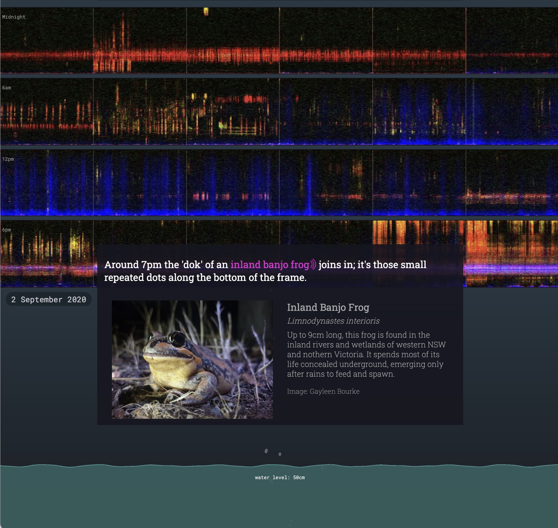 The Sound of Water - Mitchell Whitelaw